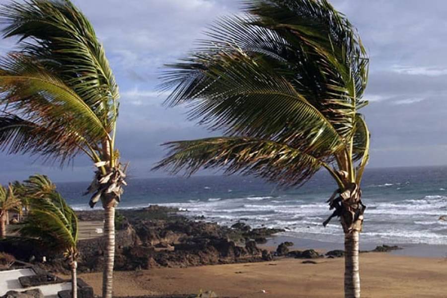 Canarian Weekly - Cloudy skies, light rain, and strong trade winds ...