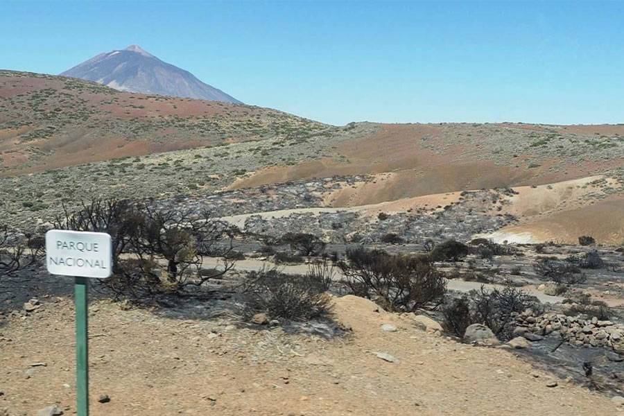 Canarian Weekly - Involcan records a seismic swarm of 90 tremors at ...