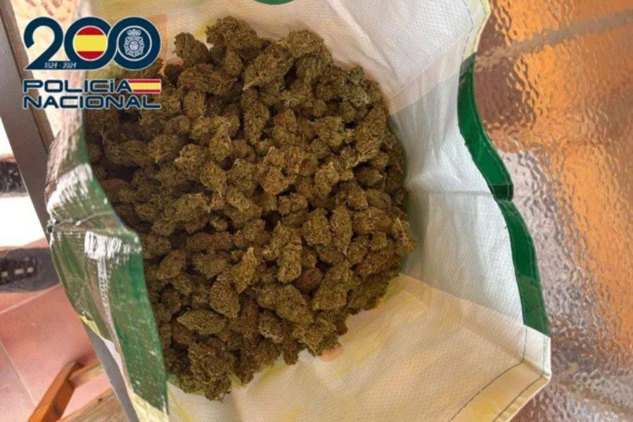 Canarian Weekly - 39-year-old man arrested during cannabis farm raid