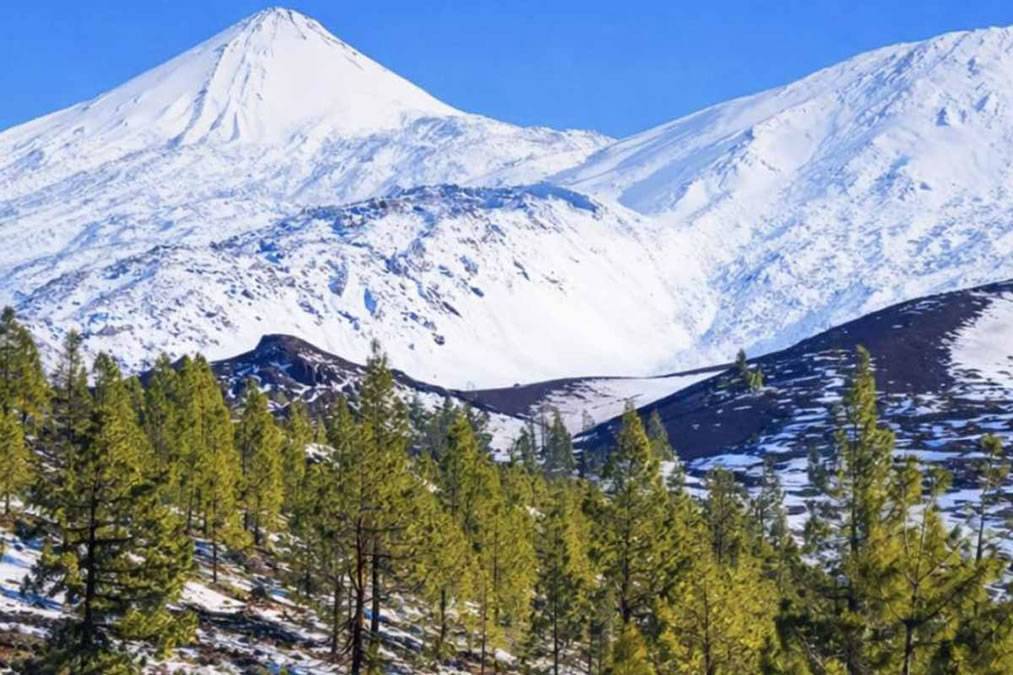 Canarian Weekly - Free shuttle buses to Teide this weekend as Cabildo ...